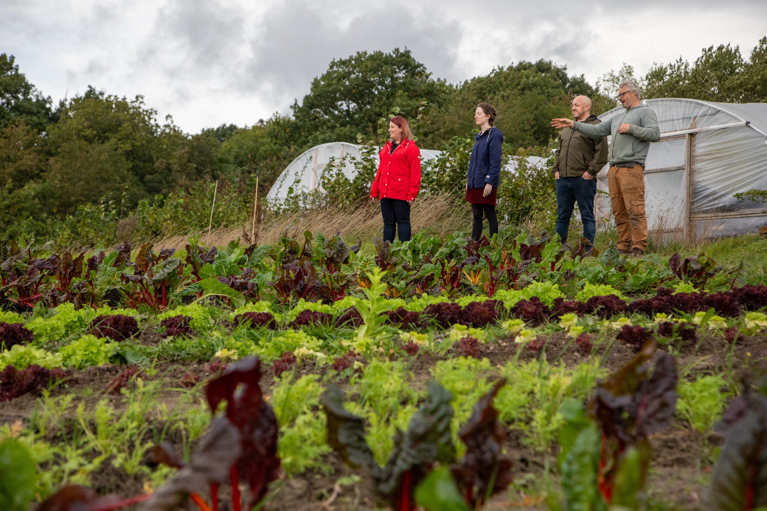 Guest blog: Reducing reliance on soy-containing feed and synthetic ...